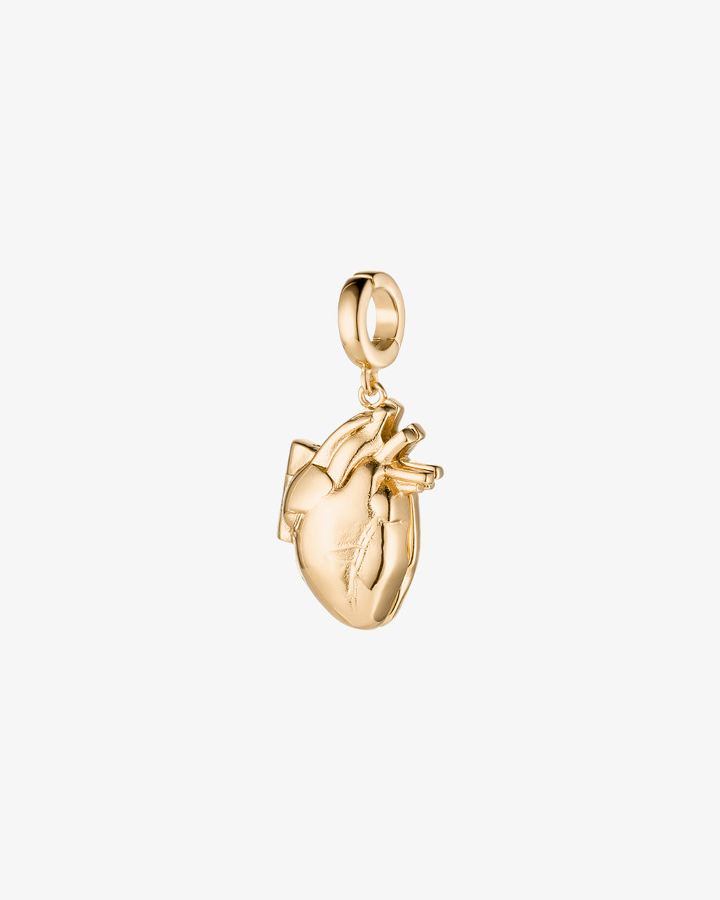 Anatomical Heart Locket Pendant | Medical Jewelry by V Coterie